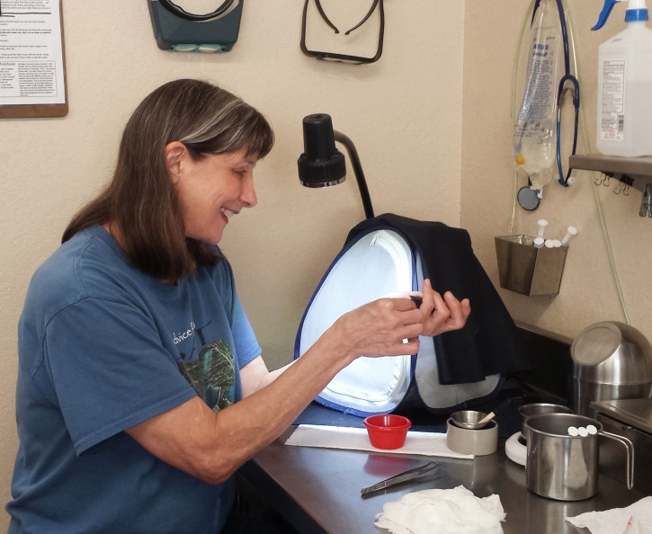 About | Amanda Lollar